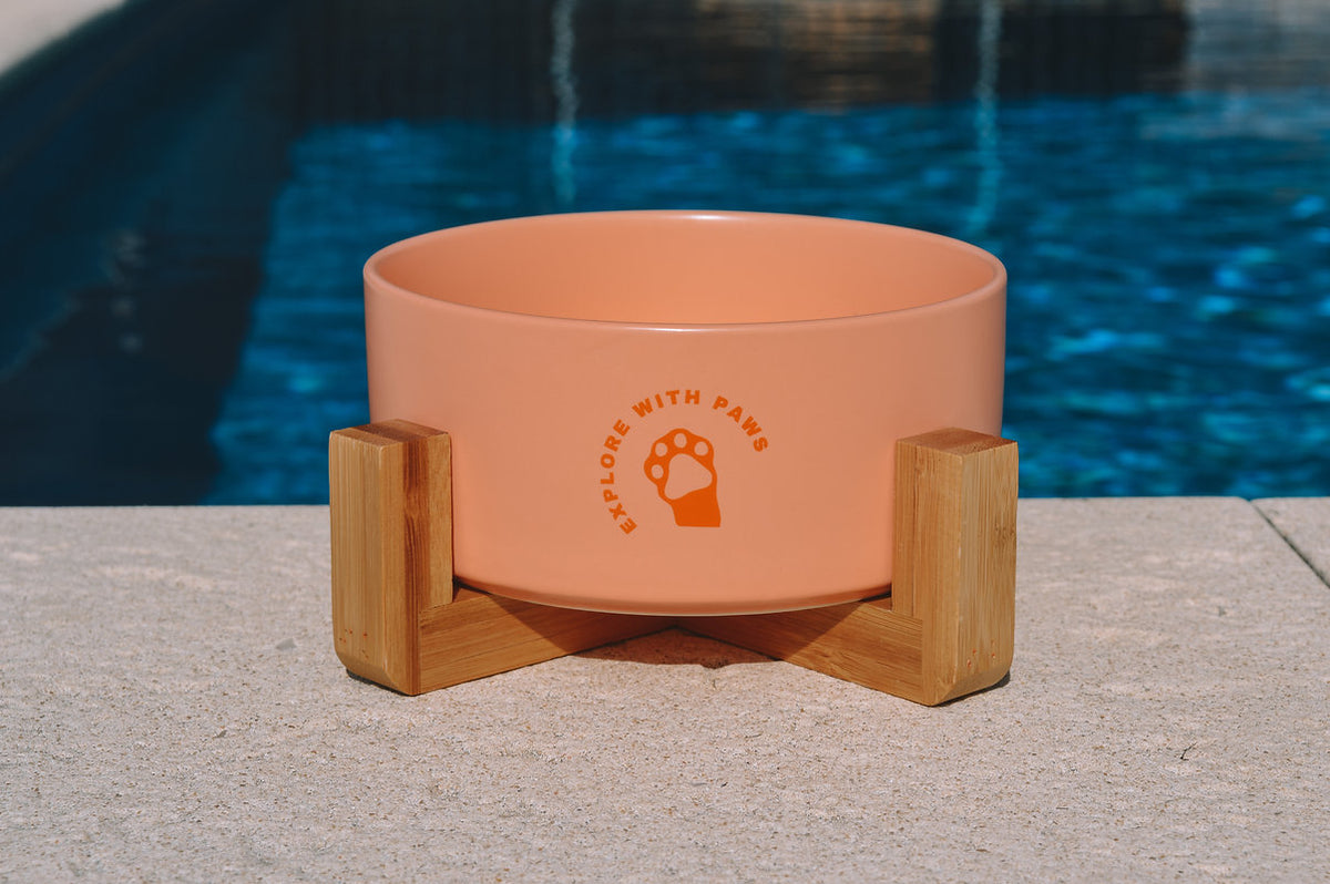 Ceramic Bowl with Wooden Stand - Explore with Paws – Moondidley Pets