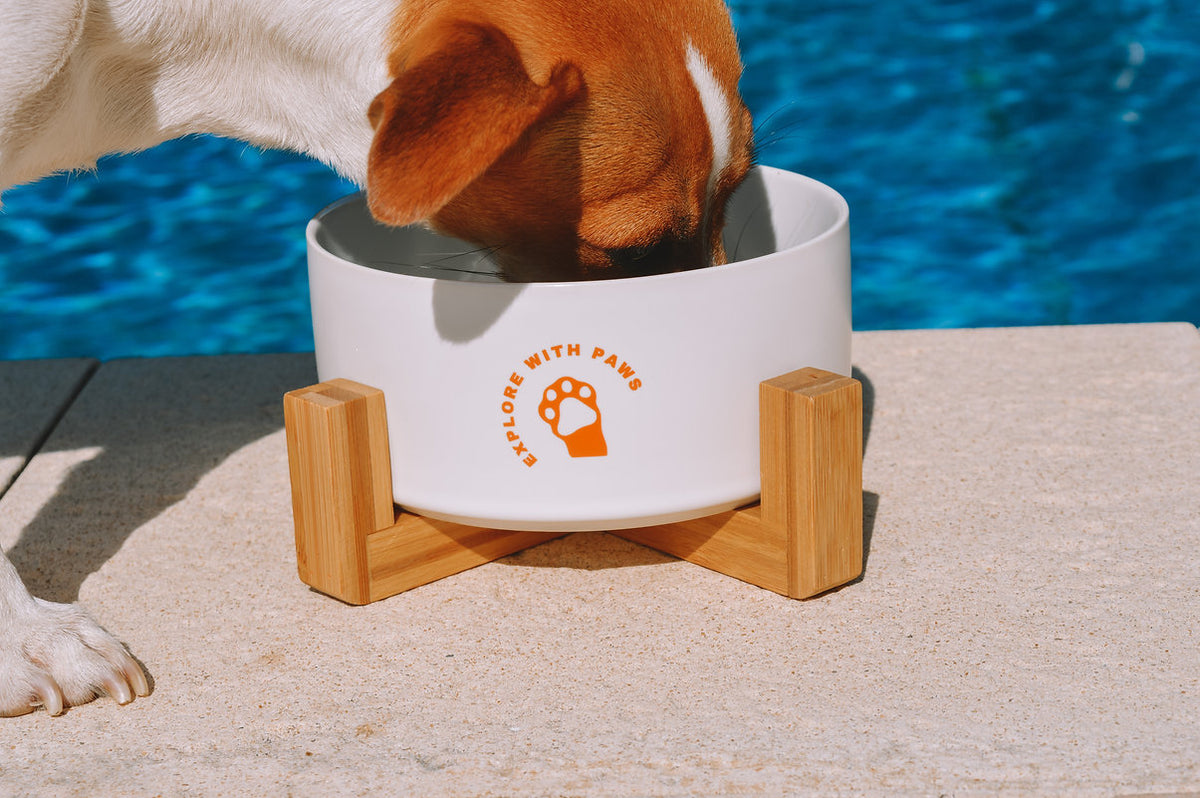 Ceramic Bowl with Wooden Stand - Explore with Paws – Moondidley Pets