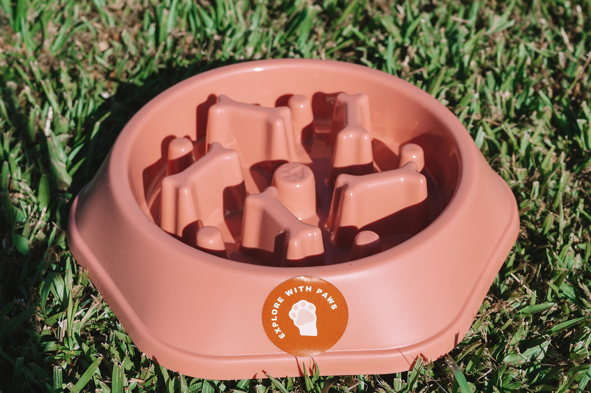 Slow Feeder Bowl - Explore with Paws – Moondidley Pets
