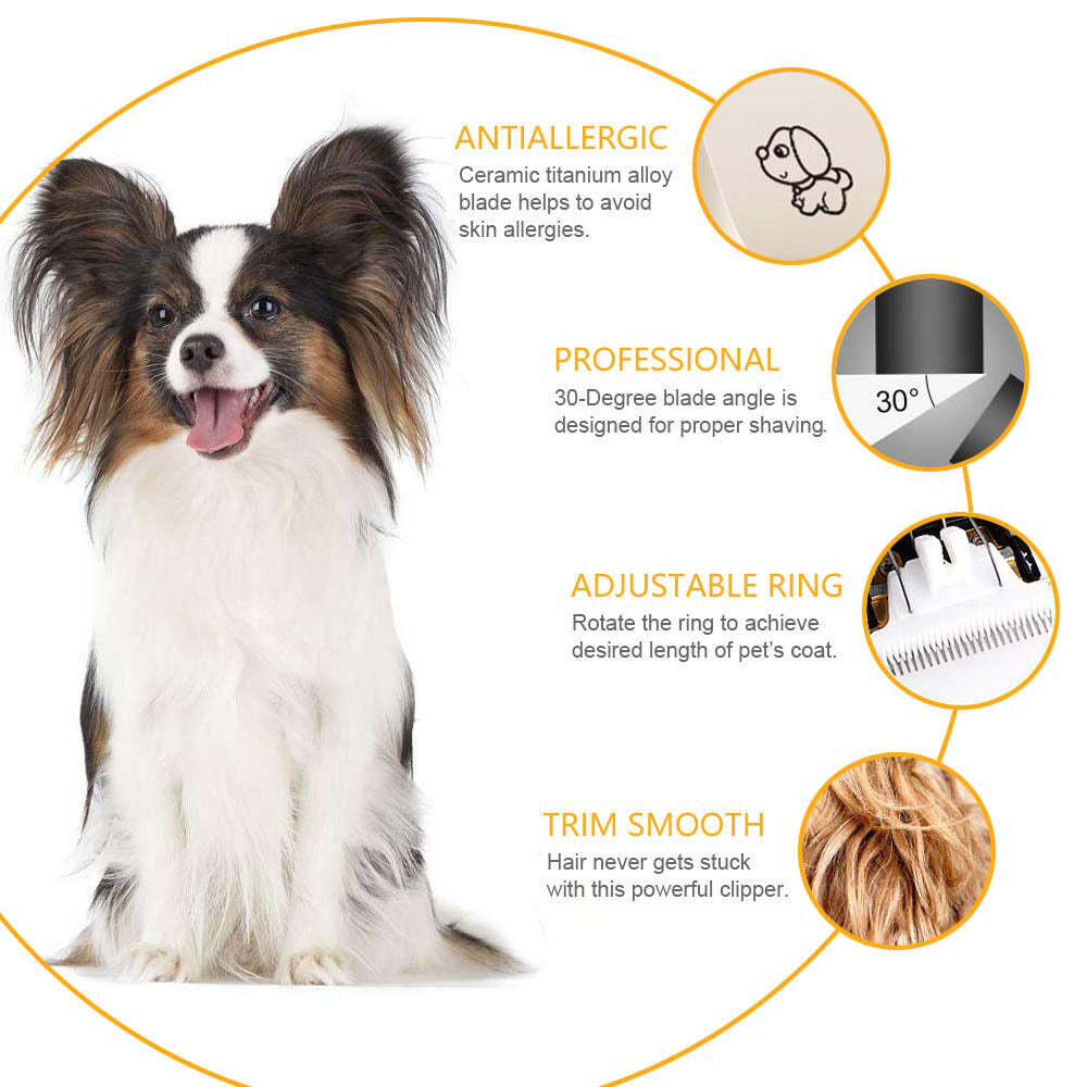 Pet Grooming Kit – Moondidley Pets