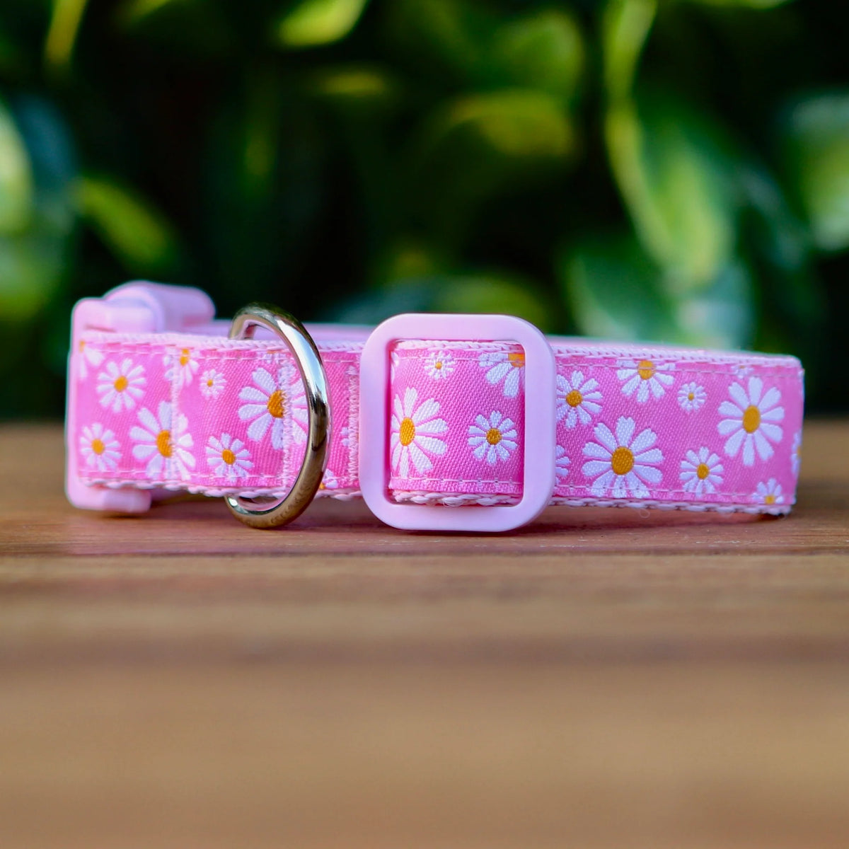 Daisy Dog Collar - Hand Made by The Bark Side – Moondidley Pets